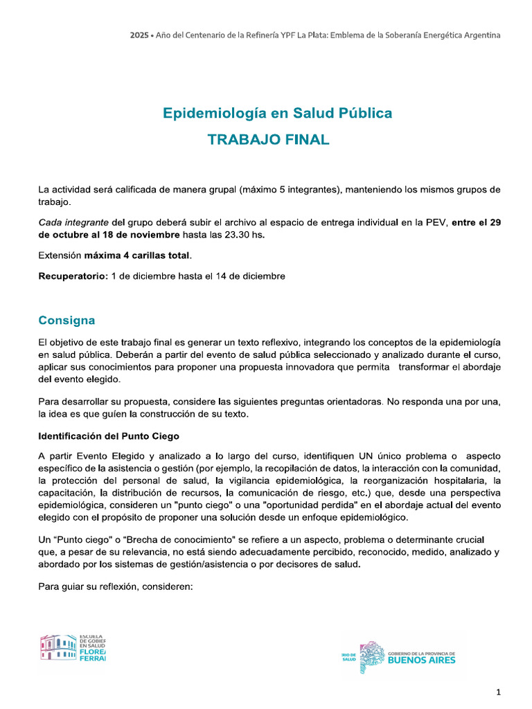 Guia Del Trabajo Integrador Final | PDF