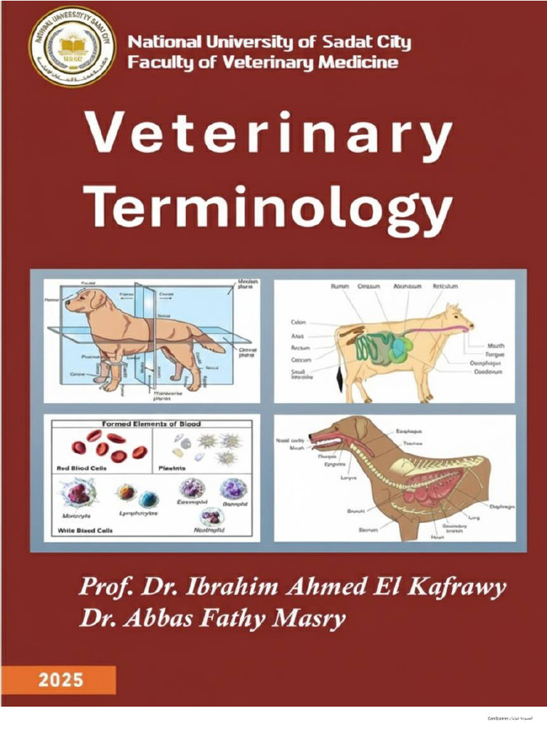 Veterinary Terminology | PDF