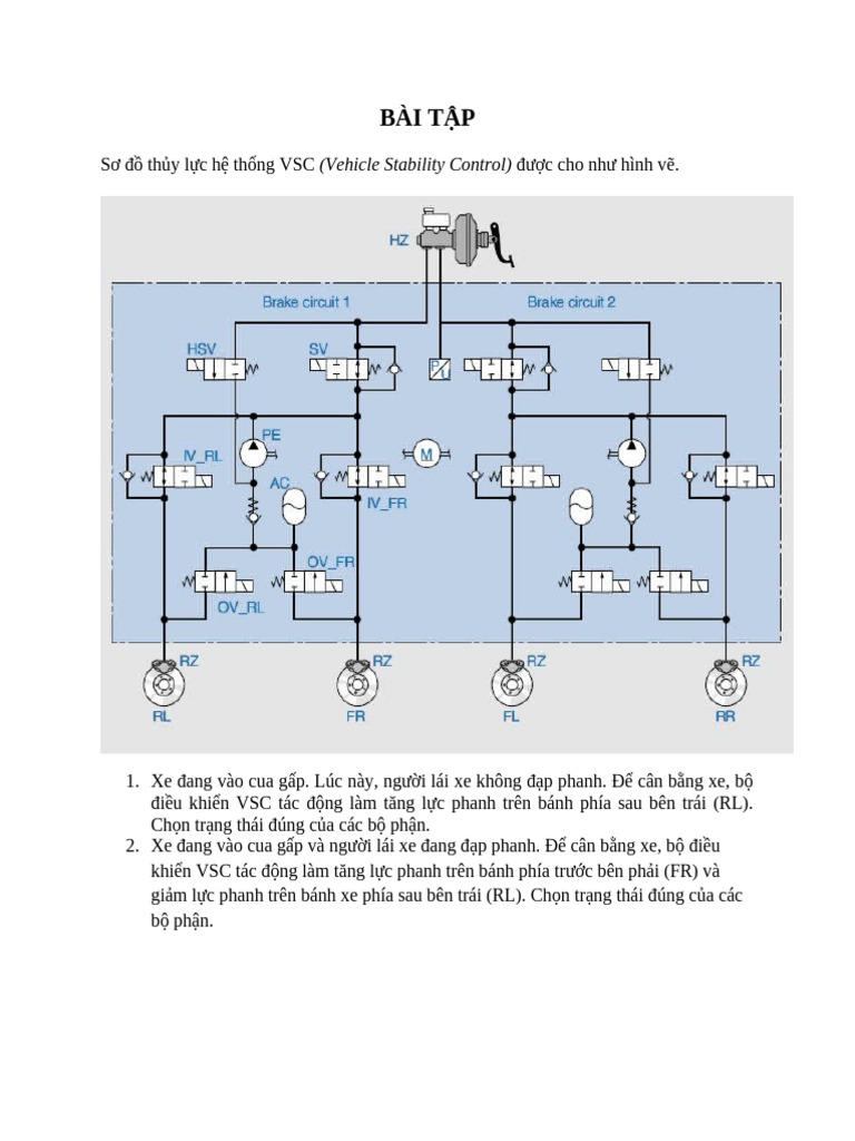 BT3. VSC | PDF