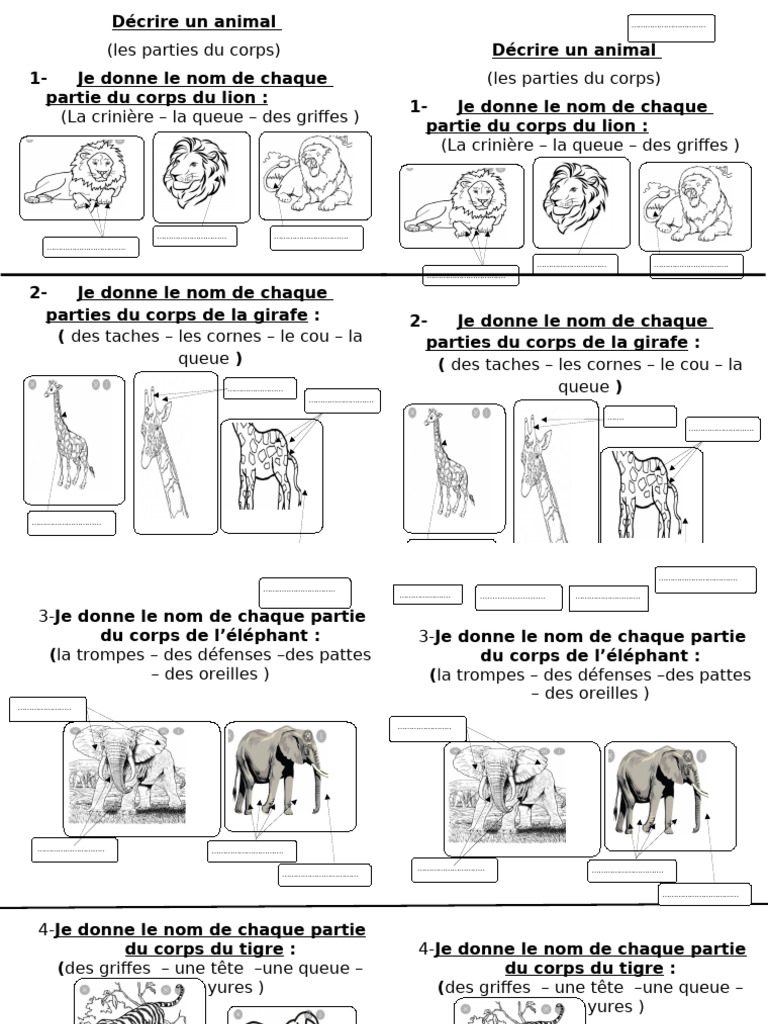 Parties du corps des animaux expliquées | PDF | Lion | Zoologie