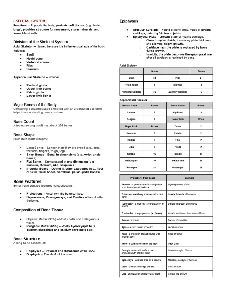 Anaphy Lab Skeletal PDF | PDF | Bone | Skeleton