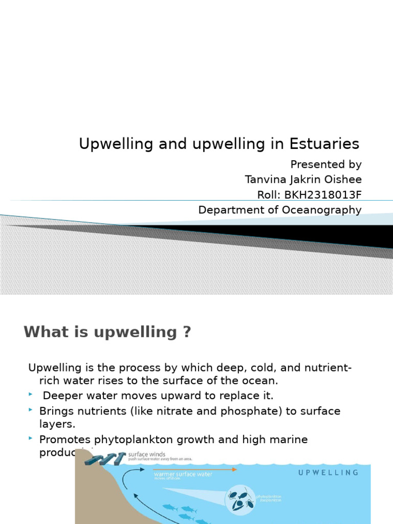 Upwelling and Upwelling in Estuaries | PDF