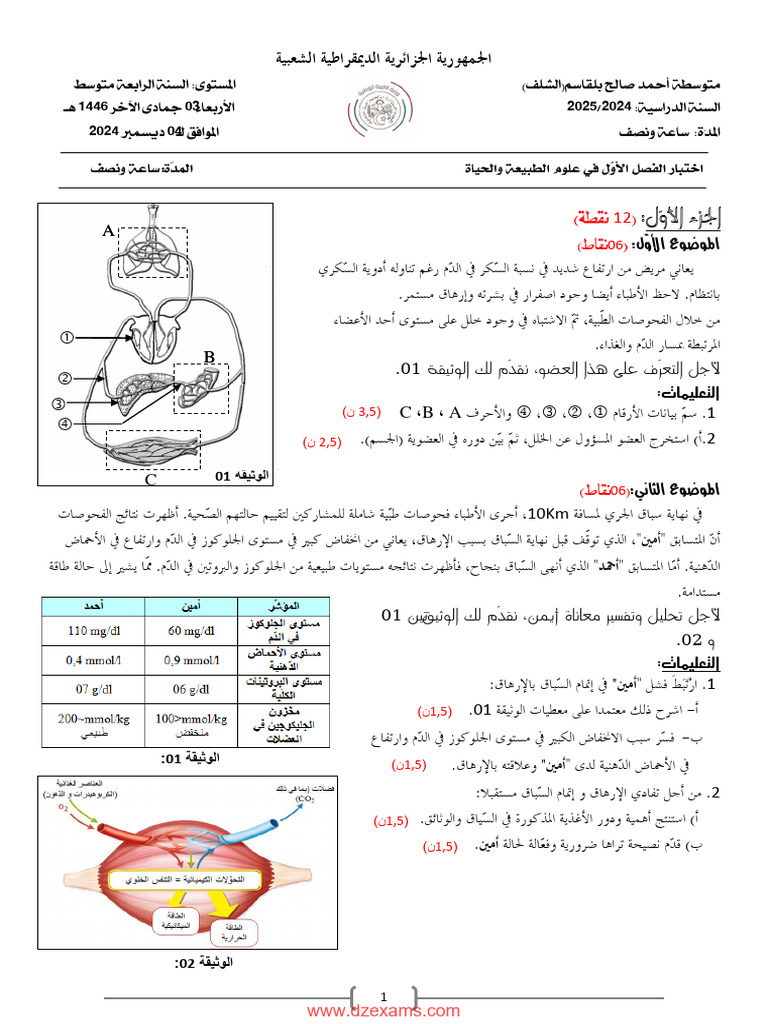 Dzexams 4am Sciences Naturelles 452179 | PDF