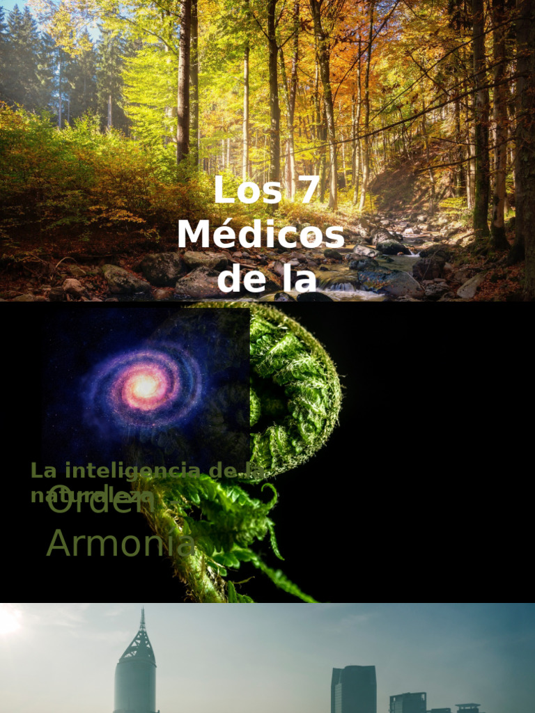 Los 7 Médicos de La Naturaleza | PDF