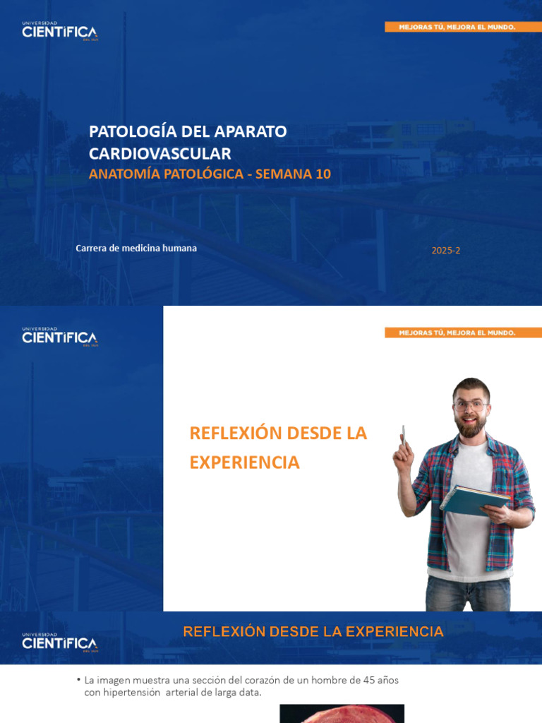 PPT_ANATOM%C3%8DA+PATOL%C3%93GICA_SEM-10_SESI%C3%93N-00_+2025-2 | PDF ...