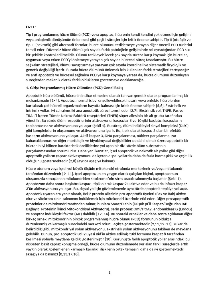 Makale Çevi̇ri̇ | PDF
