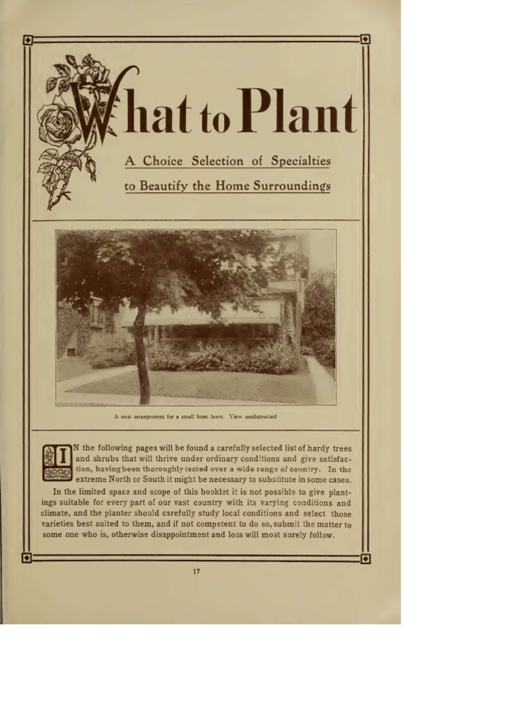 How To Plant | PDF