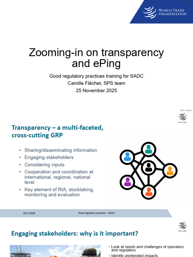 WTO Presentation on GRPs - Transparency and EPing | PDF | World Trade ...