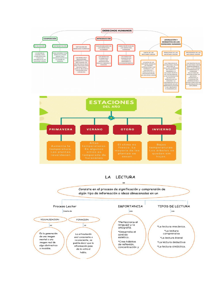 Ejemplos Mapa Conceptual 8° | PDF
