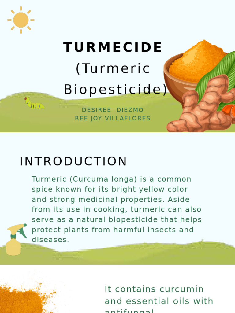 Turmeric C | PDF