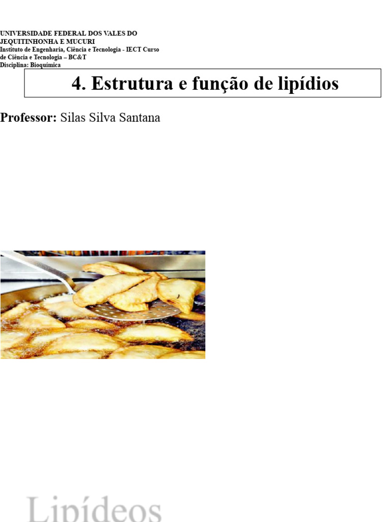Estrutura e Função dos Lipídios na Bioquímica | PDF | Lipídio ...