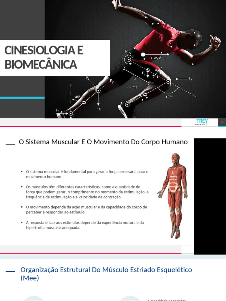 Cinesiologia e Biomec Nica Muscular | PDF | Músculo | Sistema Locomotor
