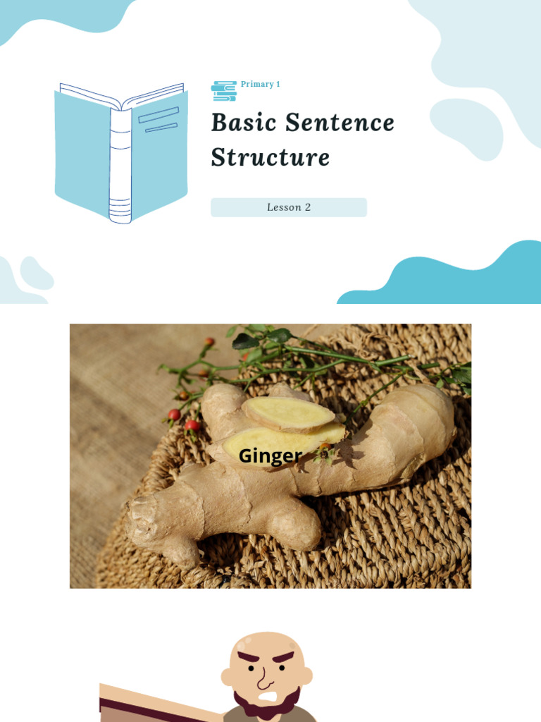 Understanding Basic Sentence Structure | PDF
