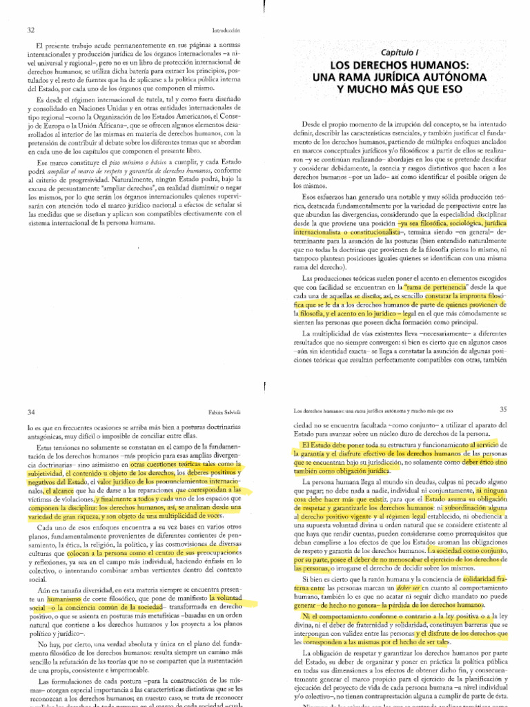Capitulo 1 Los Derechos Humanos Una Rama Juridica Autonoma y Muchos Mas Que Eso (1) | PDF