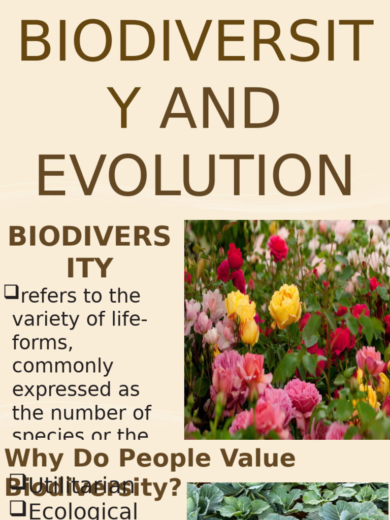 Understanding Biodiversity And Evolution Pdf Ecological Niche