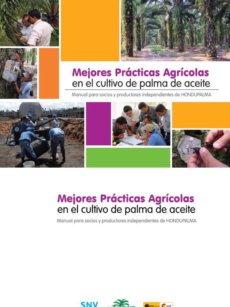 Manual Mpa | PDF | Sistema de información geográfica | Compost