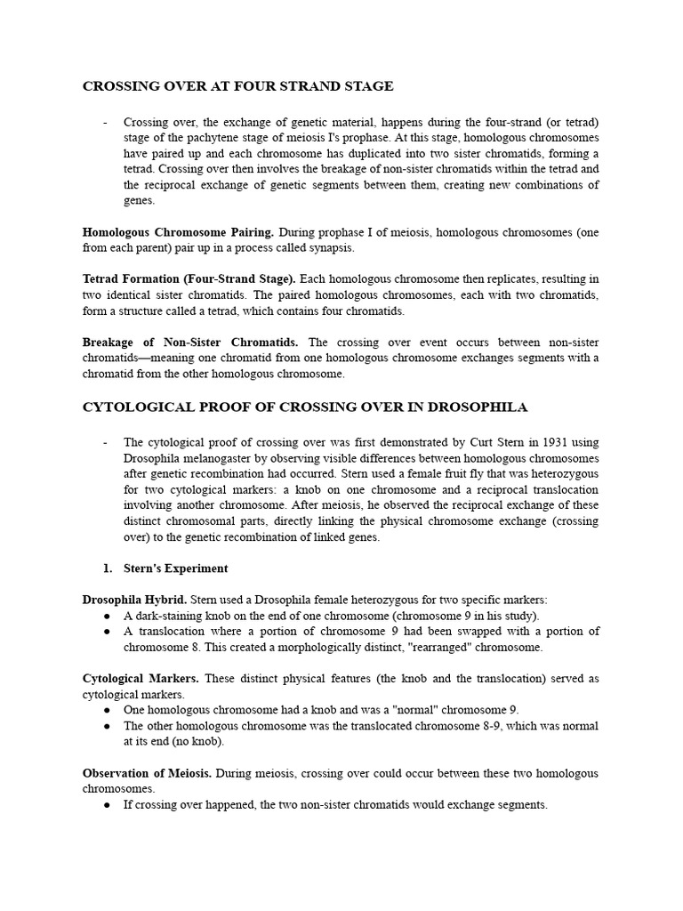 Crossing Over at Four Strand Stage | PDF | Meiosis | Plant Breeding
