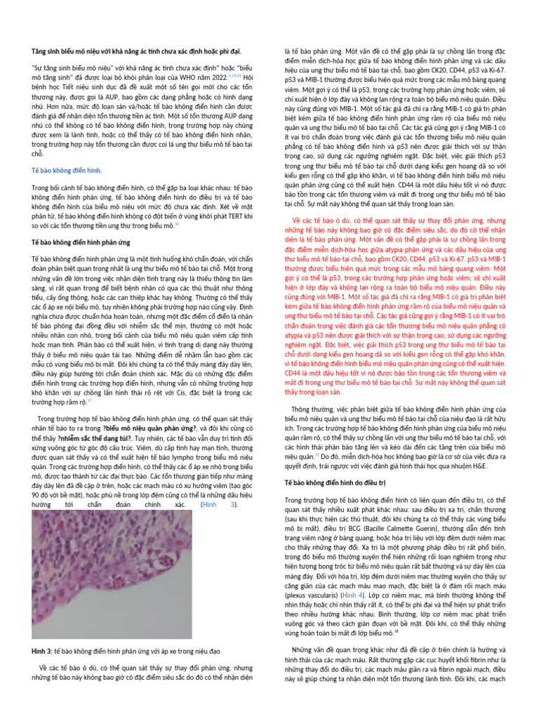 Tăng Sinh Biểu Mô Niệu Với Khả Năng Ác Tính Chưa Xác Định Hoặc Phì Đại | PDF