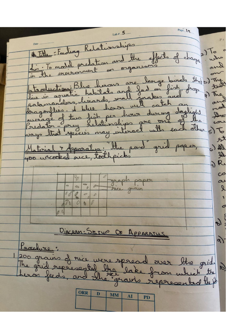Lab 5-Feeding Relationships | PDF