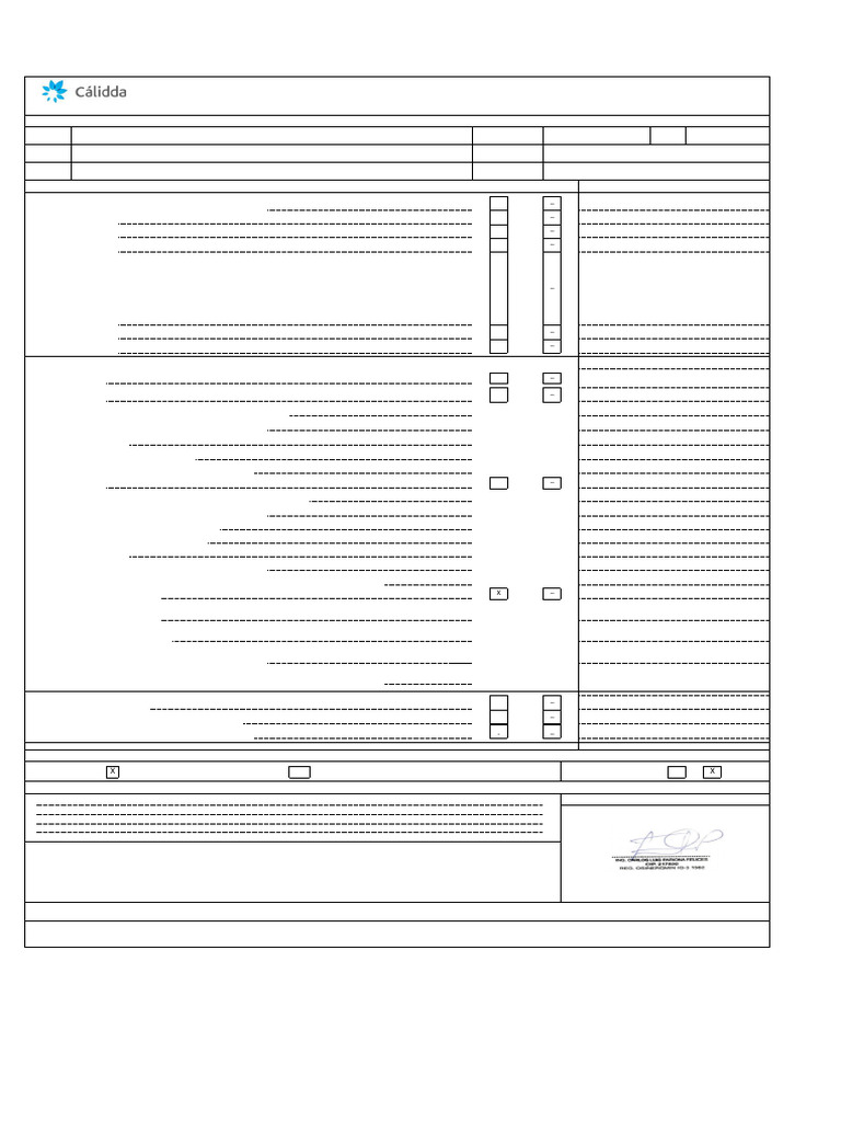 Laugen Sac - Pig1 - Rev.01 - Apro | PDF