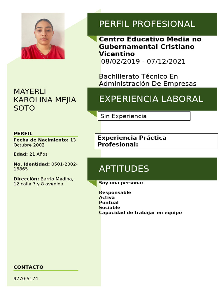 Curriculum Mayerli Mejia | PDF