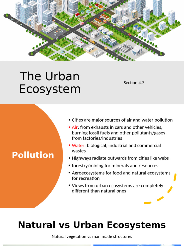 Lesson 14 the Urban Ecosystem | PDF | Ecosystem | City