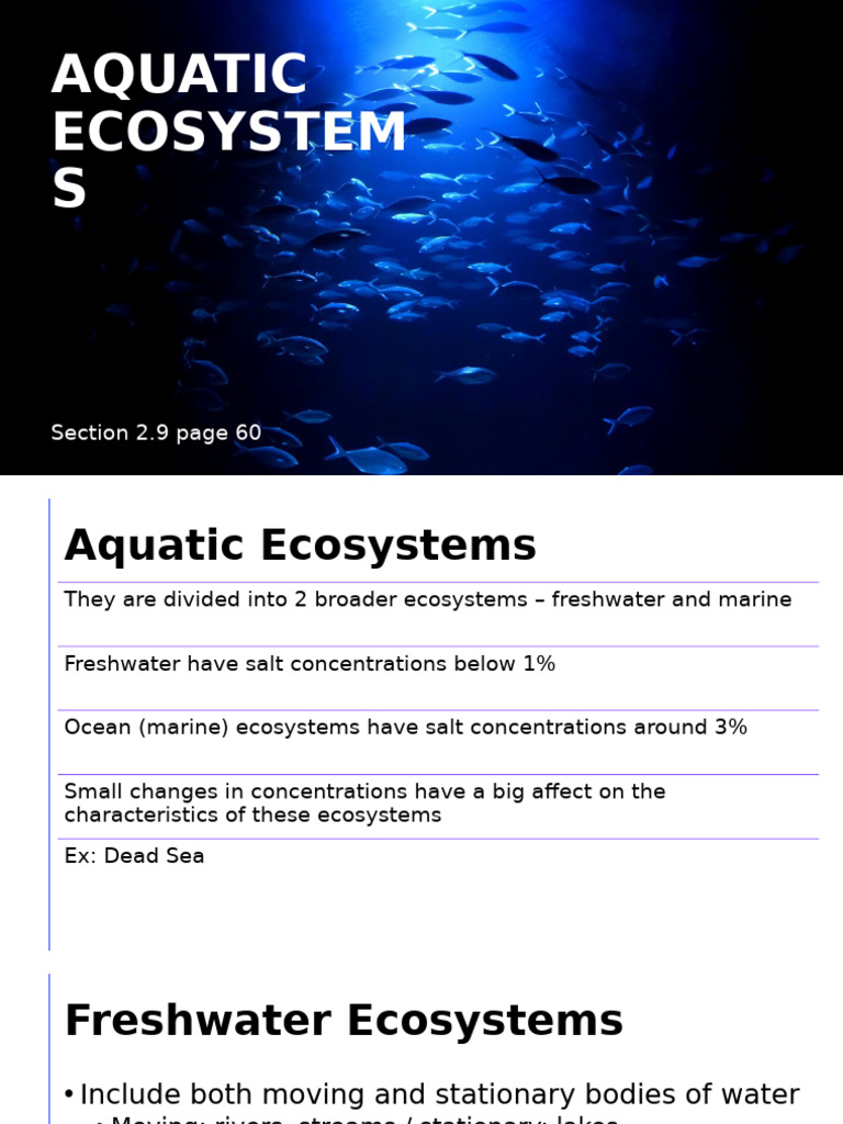 Overview of Aquatic Ecosystems | PDF | Coast | Fresh Water