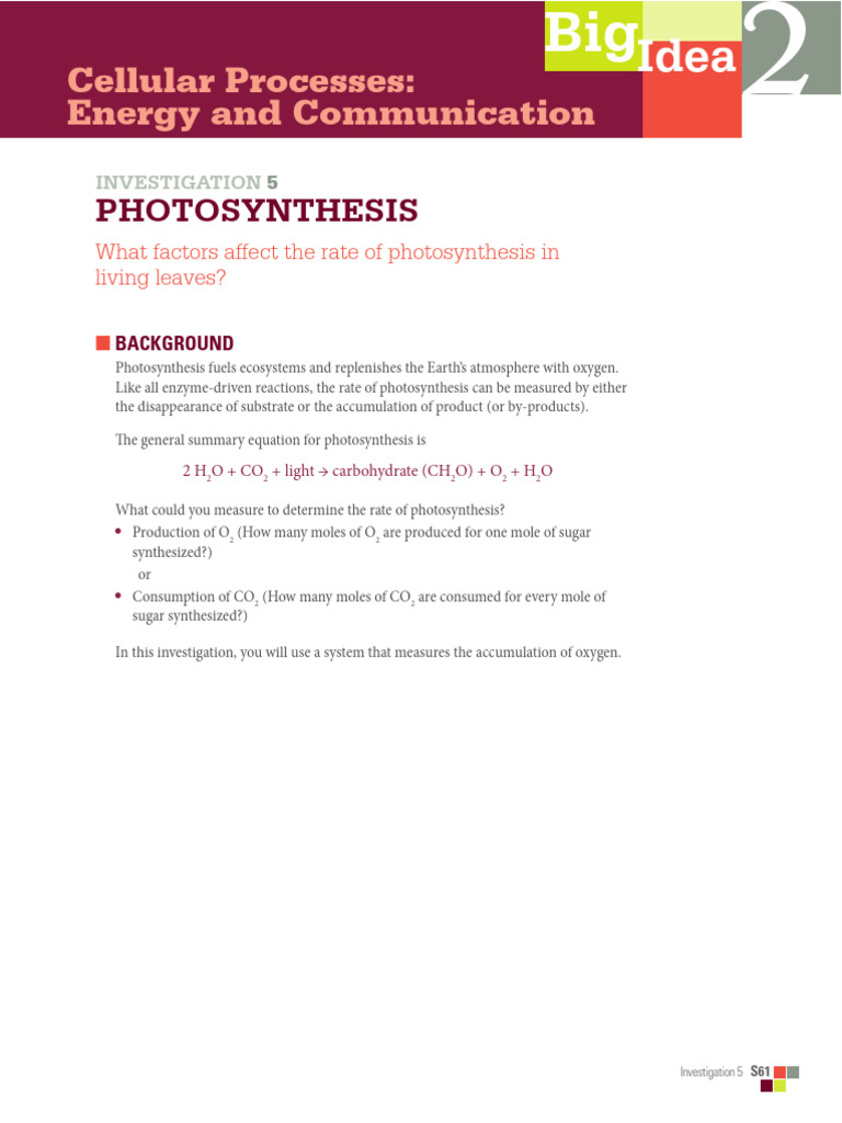 AP Bio Lab Photosynthesis SC | PDF | Photosynthesis | Carbon Dioxide