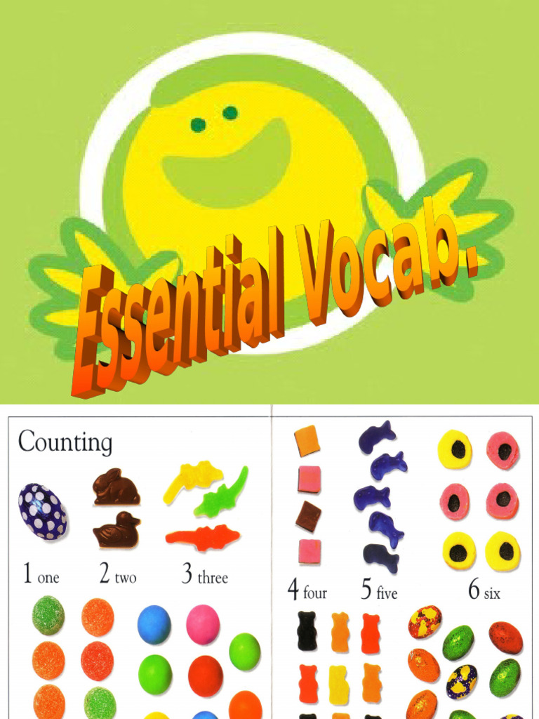 English - Essential Vocabulary | PDF