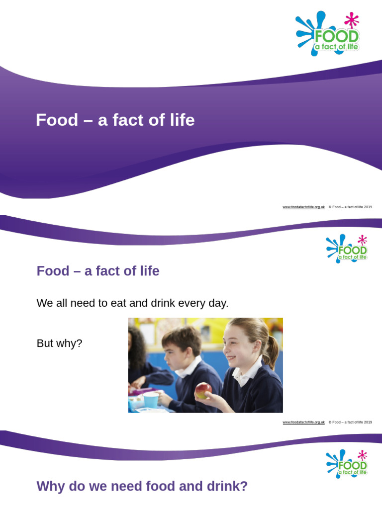 Food A Fact of Life PPT 57he1 | PDF