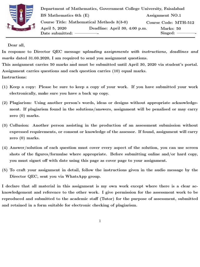 BS Mathematics Assignment Guidelines | PDF