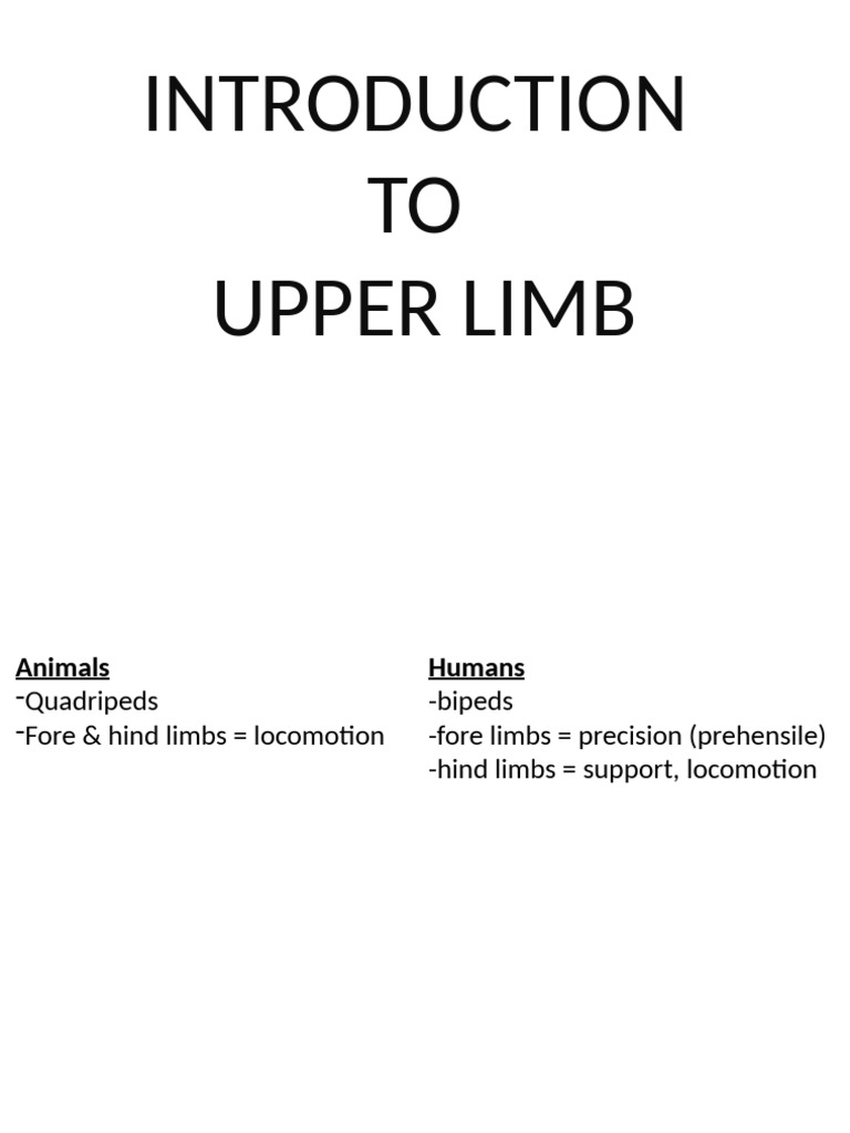 Introduction To Upper Limb - M | PDF