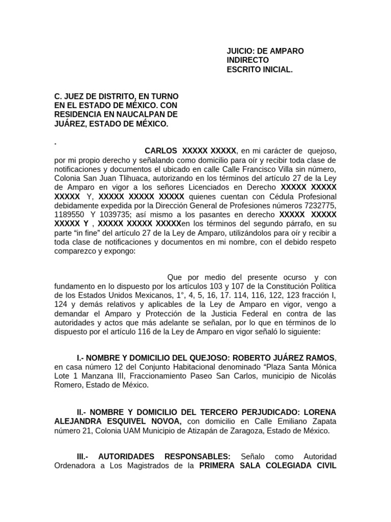 Demanda de Amparo Contra Sentencia Definitiva 1 | PDF | México ...