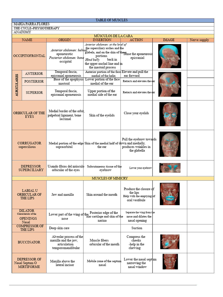 Muscle Table Origin Insertion Action and Image Compress | PDF | Thumb ...