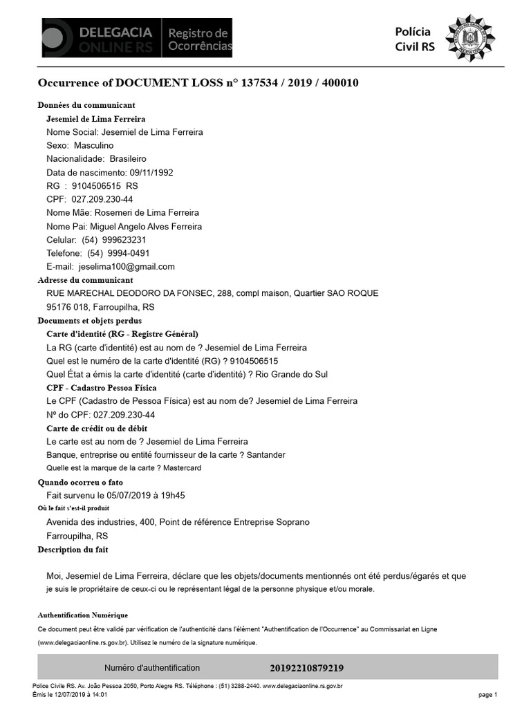 Déclaration de perte de documents 2019 | PDF | Applications de ...
