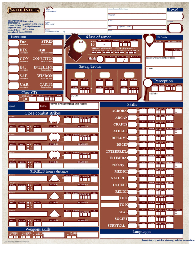 Character Sheet for RPG Gameplay | PDF