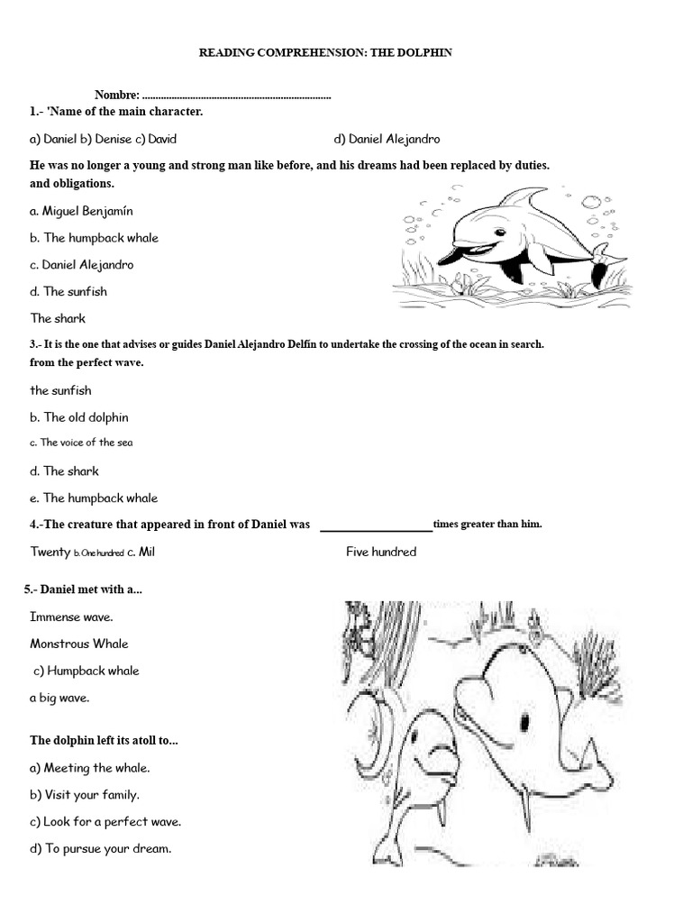 Reading Comprehension The Dolphin | PDF