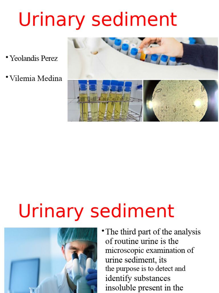 Urinary Sediment | PDF | Urine | Kidney