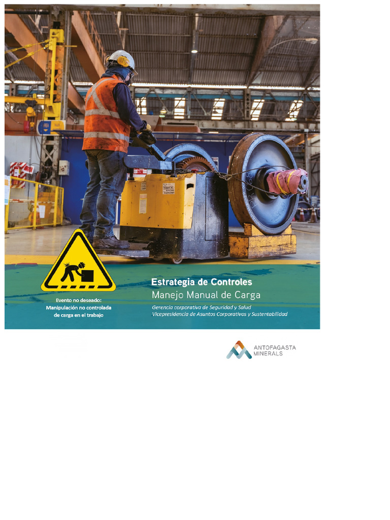 Manual Load Handling Control Strategy | PDF | Occupational Safety And ...