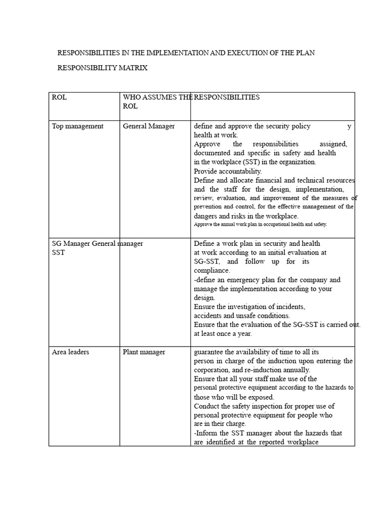 Responsibilities in The Implementation and Execution of The Plan | PDF ...