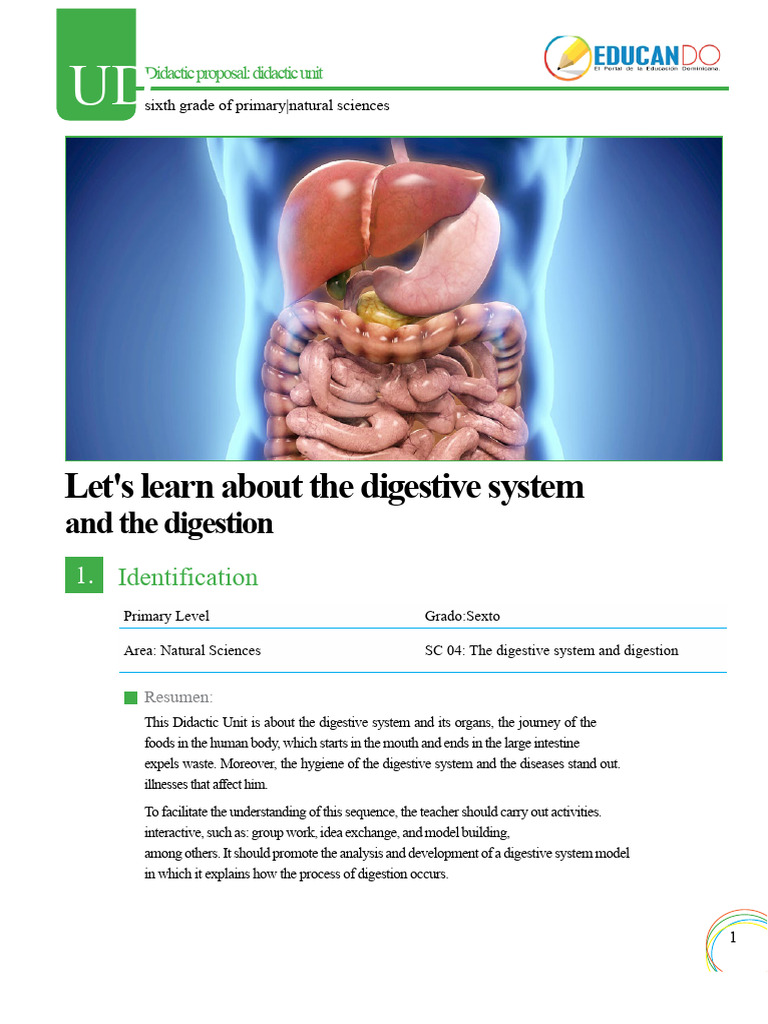 Dig Device | PDF | Digestion | Gastrointestinal Tract