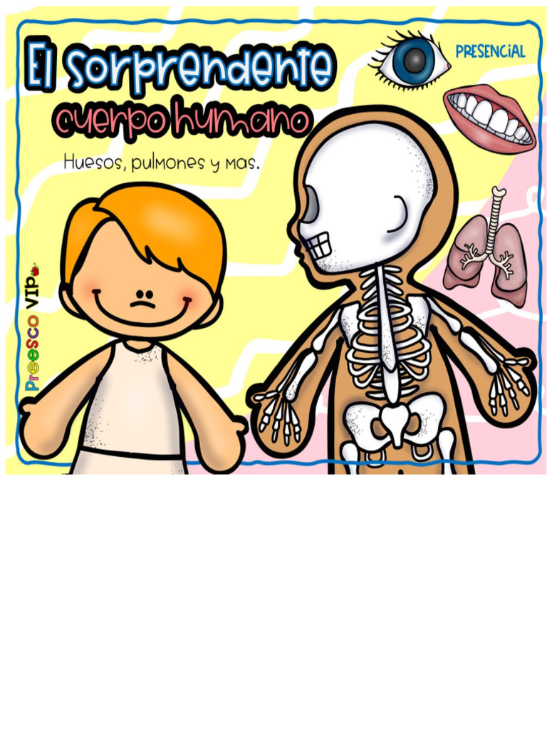 Plan The Amazing Human Body | PDF | Skeleton | Exhalation