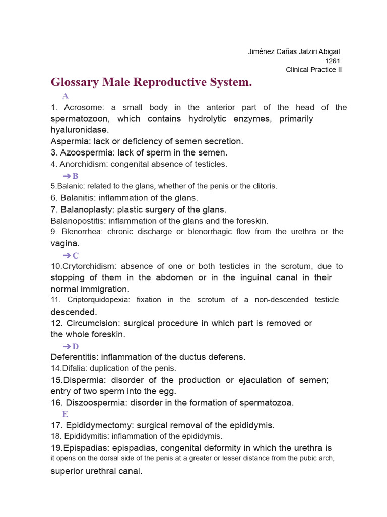 Male Reproductive System Glossary | PDF | Testicle | Urology