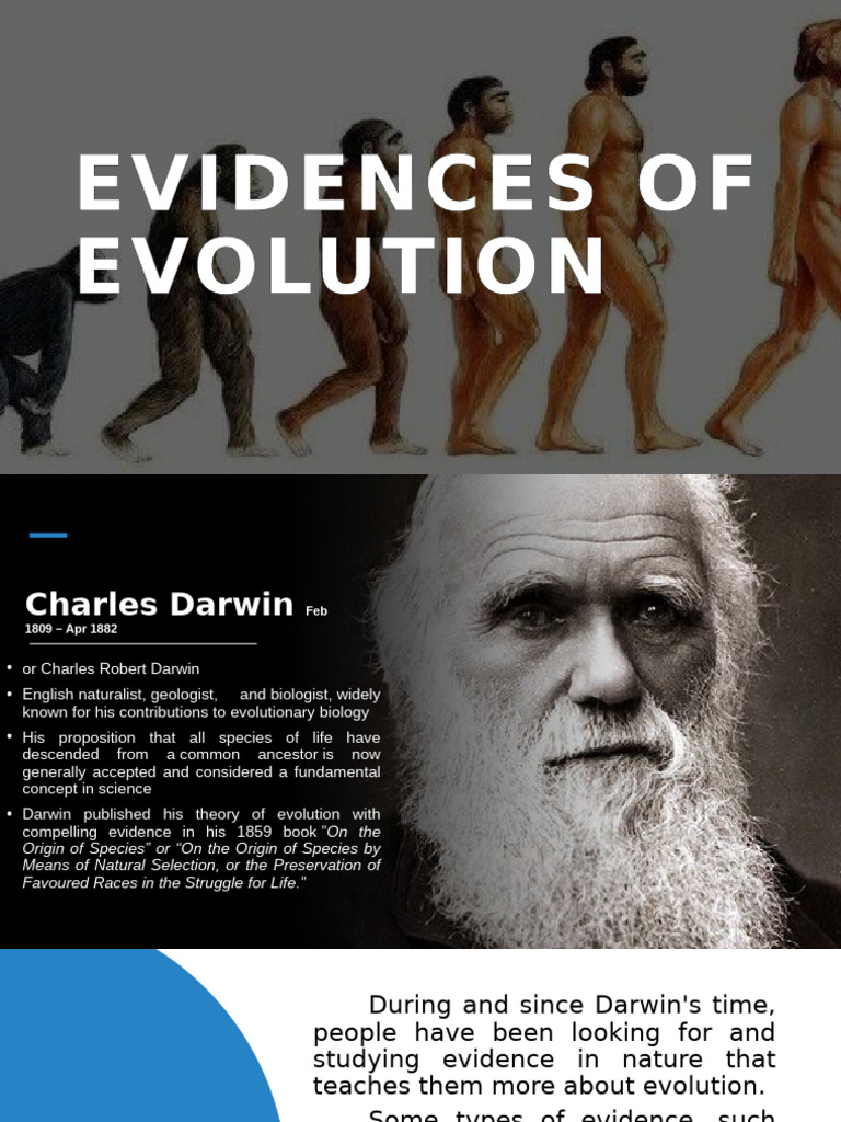 Evidence Supporting Evolutionary Theory | PDF | Fossil | Evolution