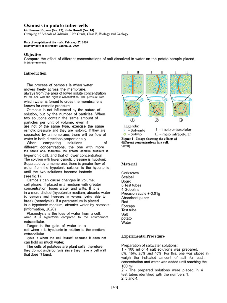 Biology Report - Osmosis in Potatoes. | PDF | Osmosis | Cell Biology