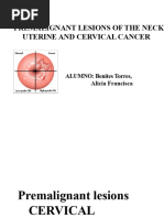 Cervical Anatomy and Histology Overview | PDF | Epithelium | Histology
