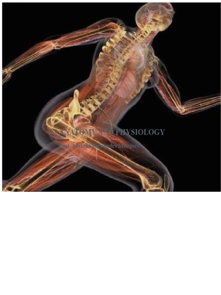 Lesson 1 Anatomy and Physiology | PDF | Anatomy | Human Body