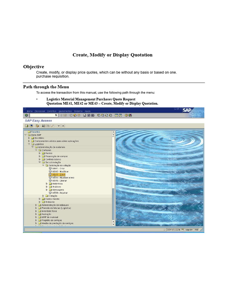ME41, ME42 or ME43 - Create, Modify or Display Quotation | PDF | Computing