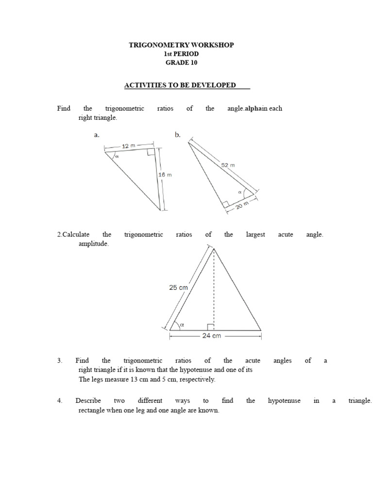 Workshop On Trigonometric Reasons and Applications | PDF | Trigonometry ...