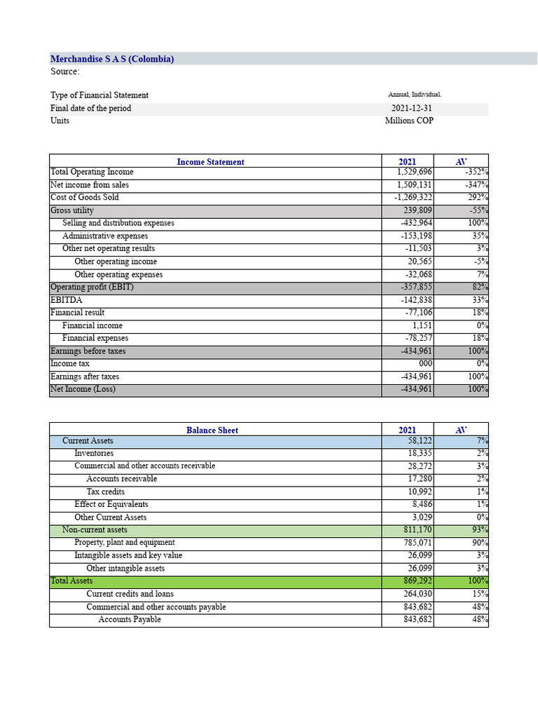 Financial Statements and Fair and Good Balance Sheet | PDF | Fixed ...